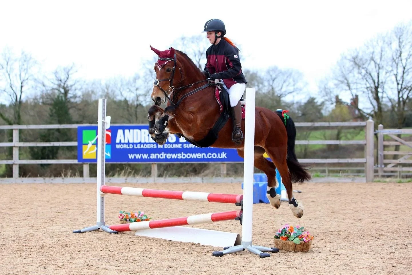 The Team — Greenhill Equitation