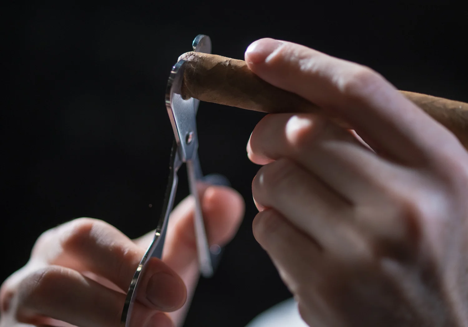 IL SIGARO – Il fascino del fumo lento tra rituali antichi e ritmi d ...