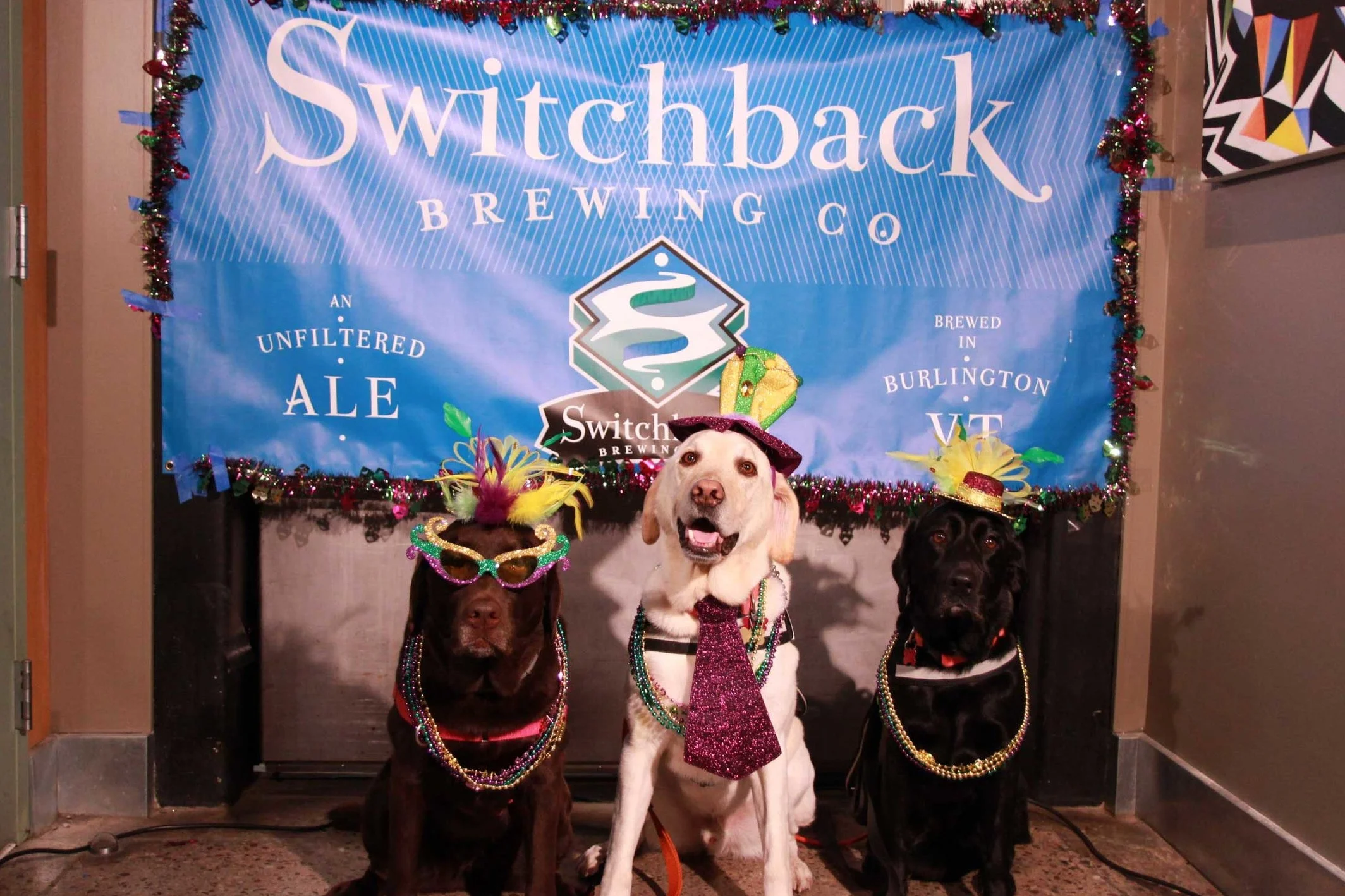 Tap Room Events — Switchback Brewing Company