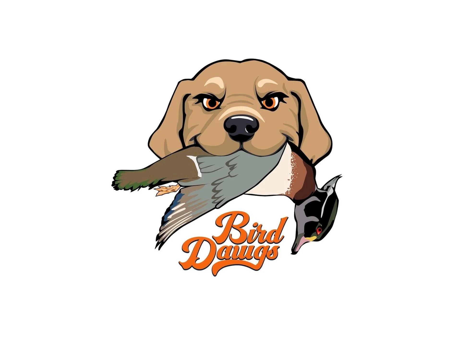 Kinston welcomes Frontier League team, continuing long baseball ...