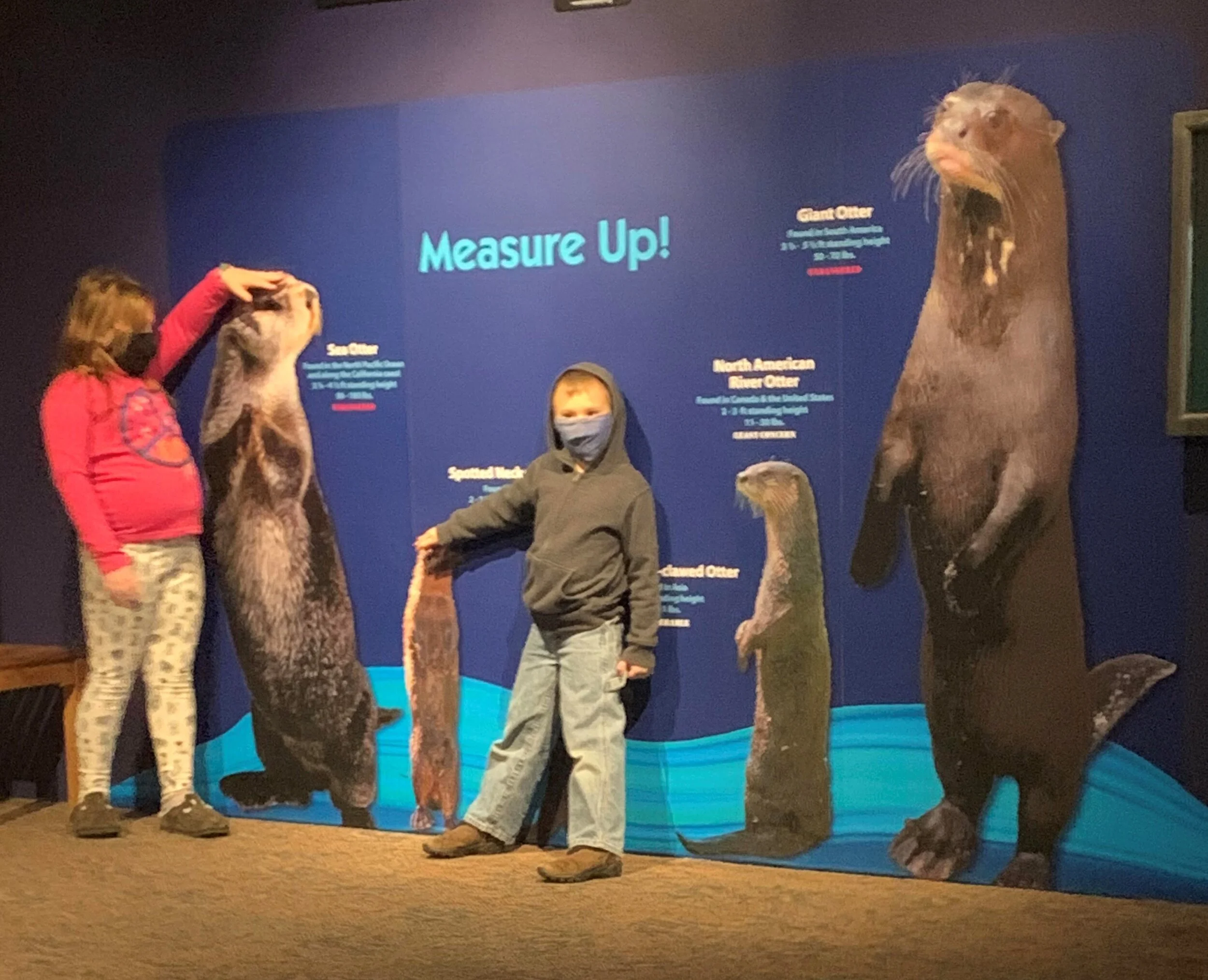 Mike Parker: You ‘otter’ have seen their faces at the Aquarium — Neuse News