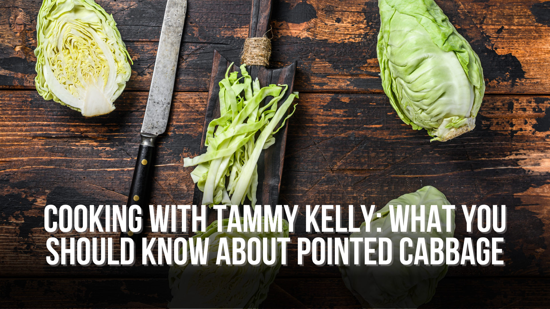 Cooking with Tammy Kelly: What You Should Know About Pointed Cabbage ...