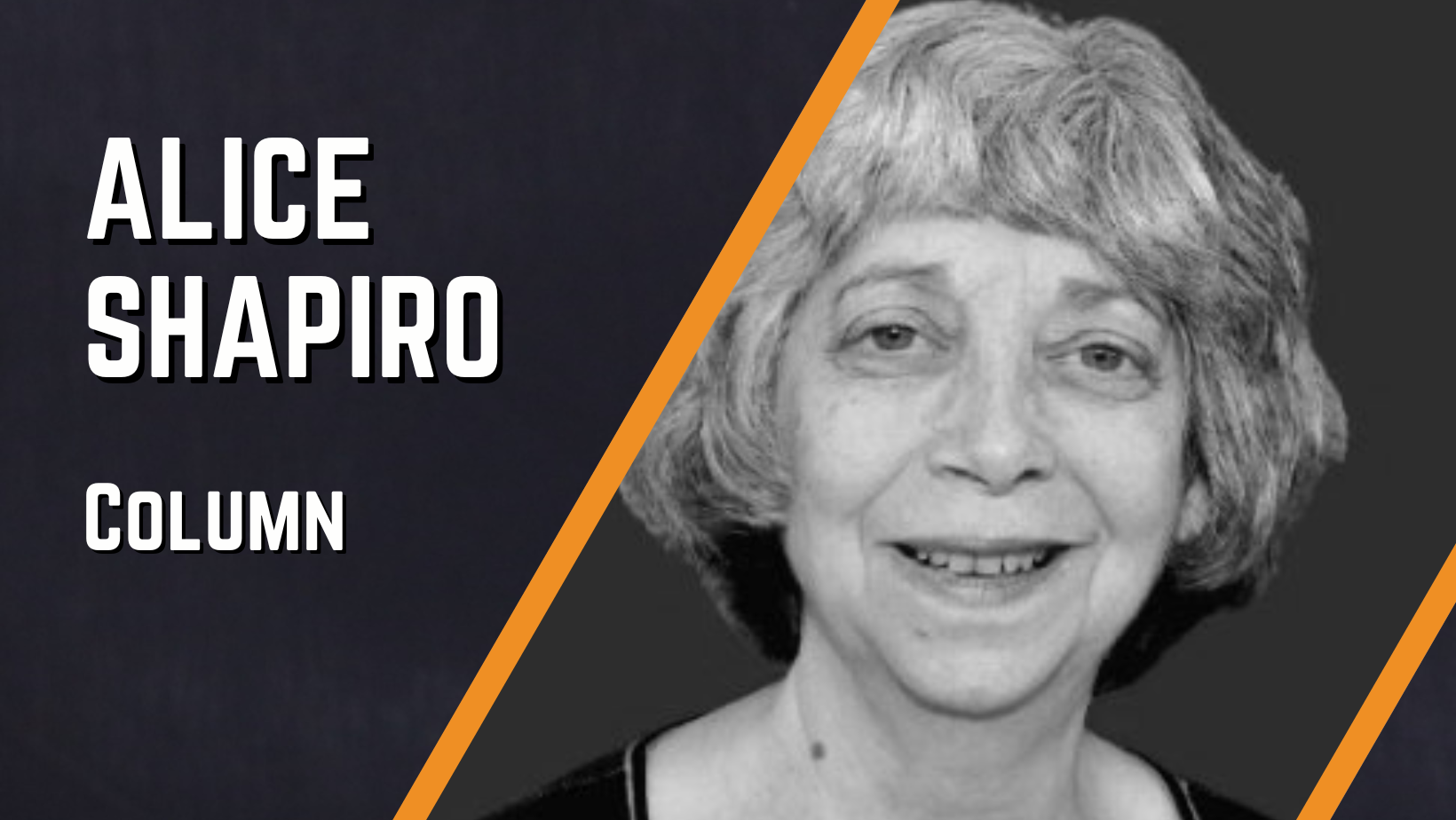 Alice Shapiro: Why collect art? — Neuse News