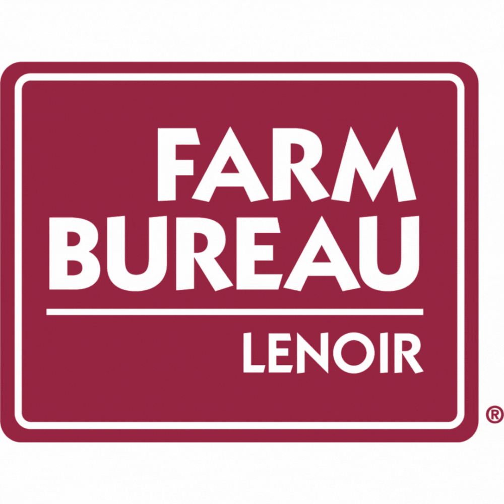 Obituary: Stephen Michael "Mike" Anderson — Neuse News