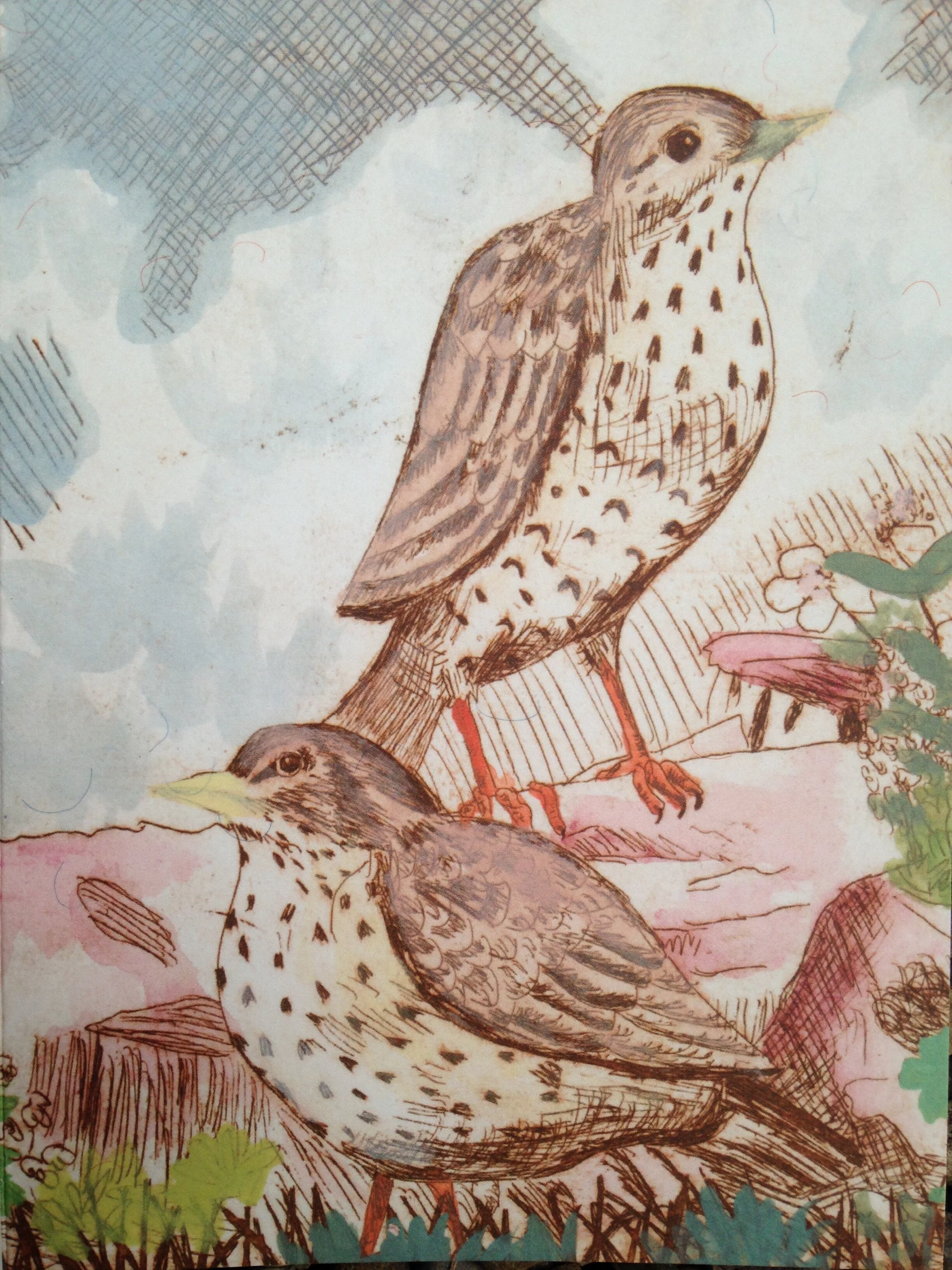 Cards — Maude Made