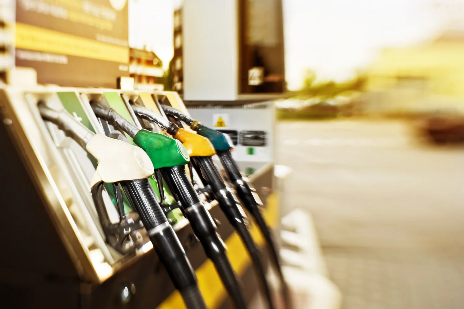 Renewable Natural Gas Partners