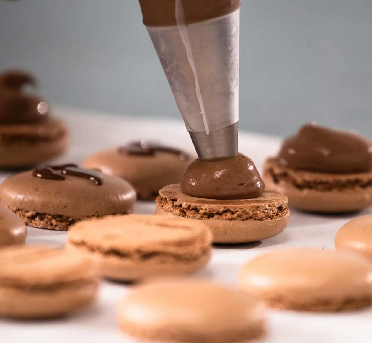 moo free chocolate, cocos pantry and vegan chocolate