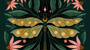 Heather Mueller Design