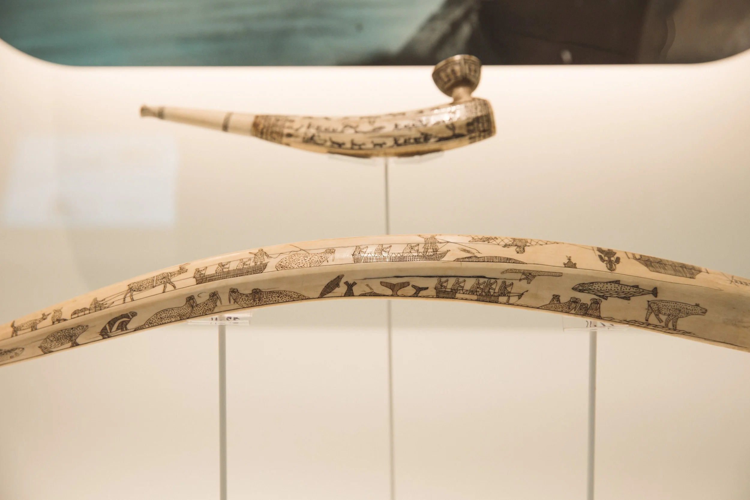 Peary-MacMillan Arctic Museum | Optimum Commercial Construction New England