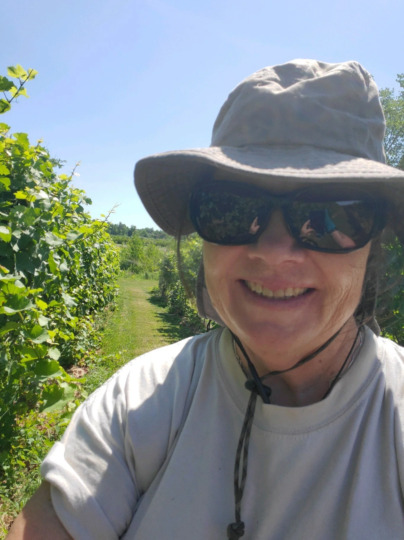 Mentors — Bâtonnage