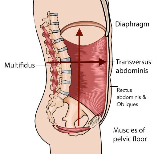 The Core Pelvic Floor Physiotherapy — Physio Effect Glasgow