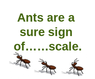 The Citrus Men Blog — Citrus Men