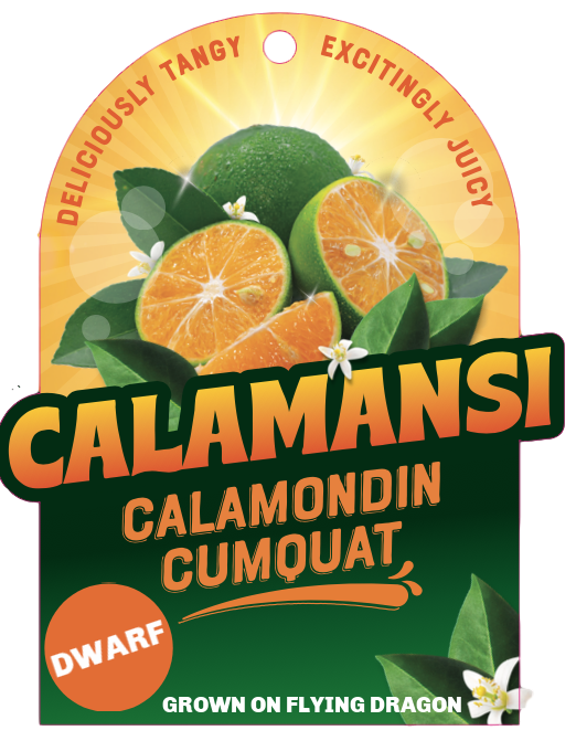 Buy citrus trees — Citrus Men