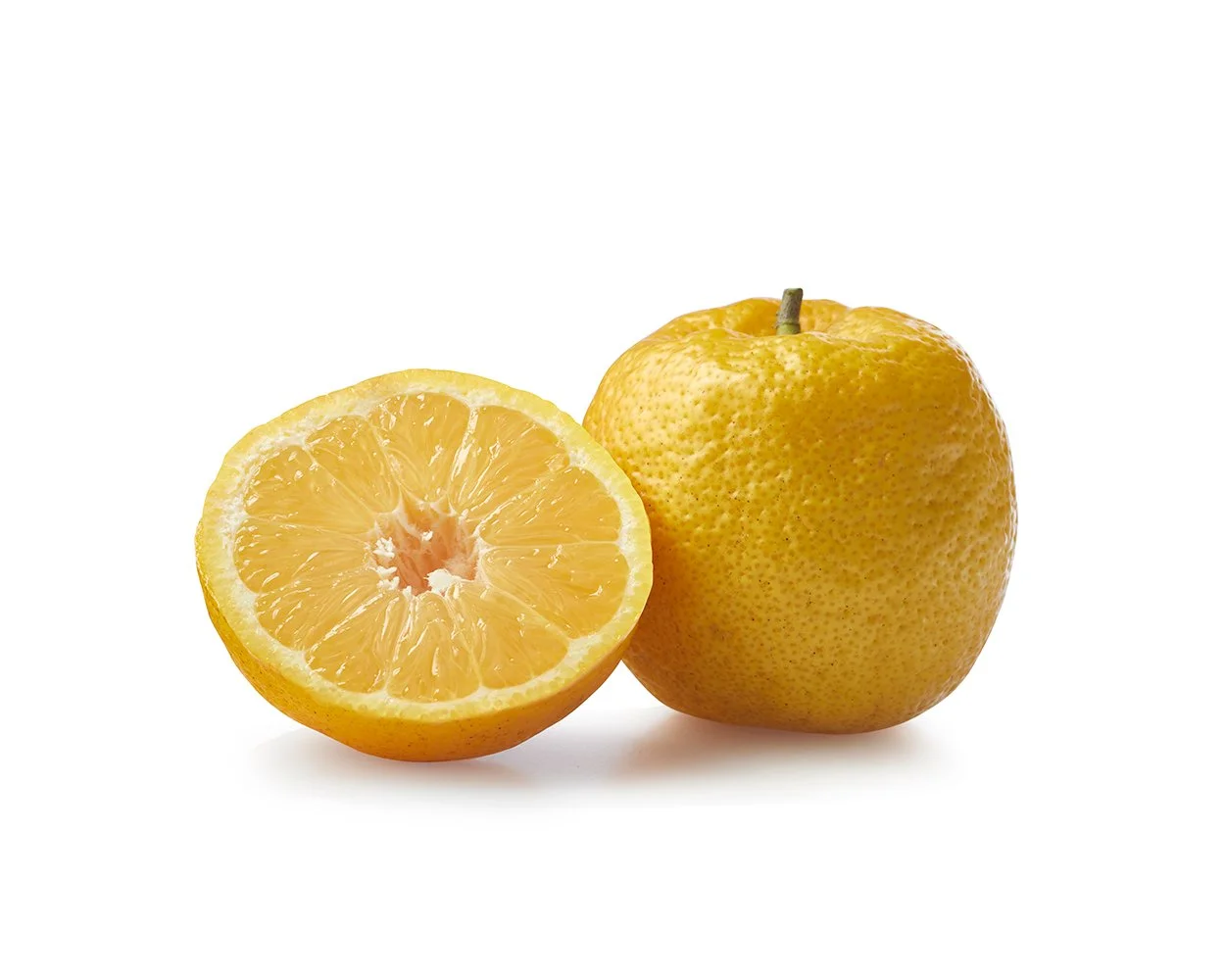 Buy citrus trees — Citrus Men