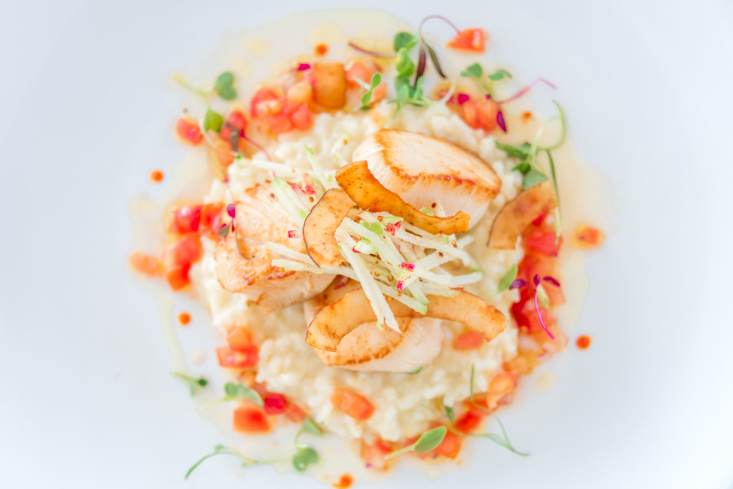 Cracked Conch — Cracked Conch Macabuca