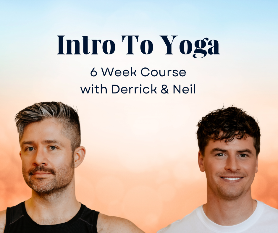 Intro To Yoga - 6 Week Course - Weds at 6pm — The Yoga Root