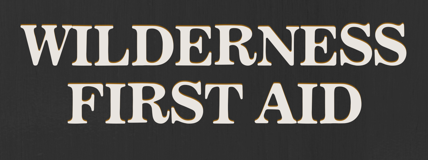 Wilderness First Aid - WFA — Backcountry Pulse