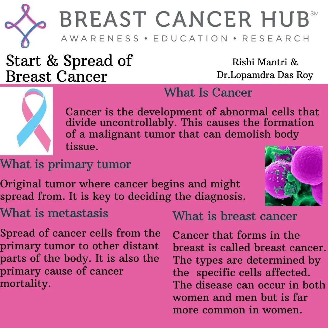 Research — Breast Cancer Hub