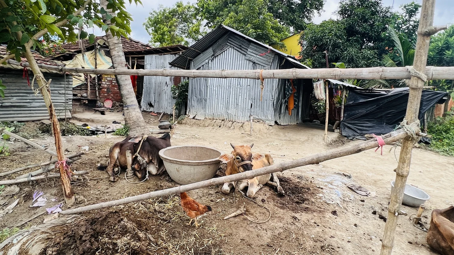 BCH adopts Huda Village, Nadia District, WB — Breast Cancer Hub