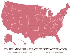 Dense Breast and Mammogram — Breast Cancer Hub