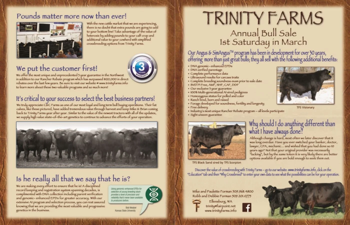 Ad Archive — Trinity Farms