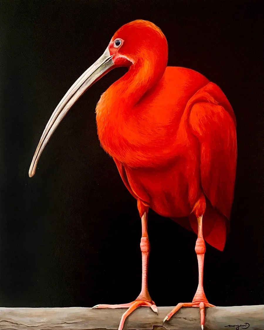 Portfolio — Morgan Dagata