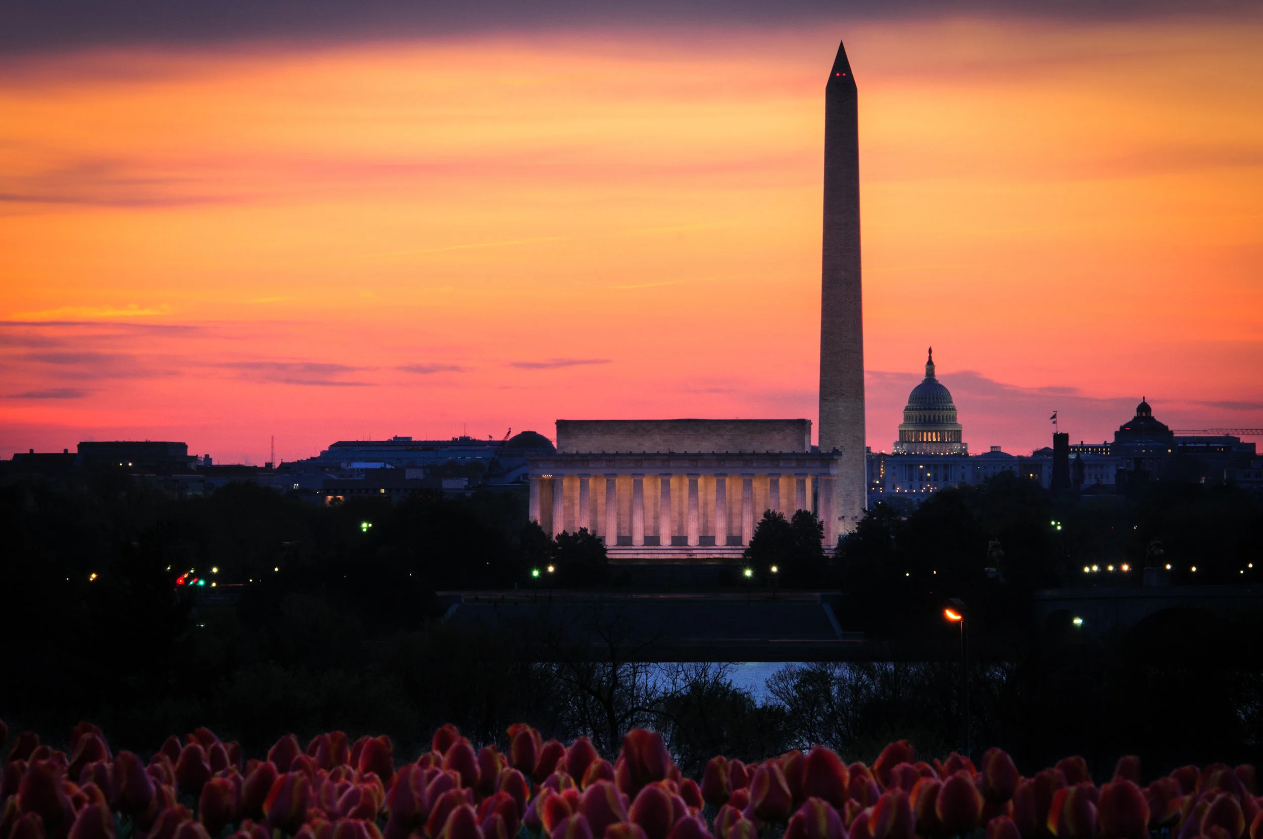 Trust For The National Mall Logo