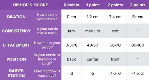 Cervical Effacement: What is it and how to measure (2024) — Motherboard ...