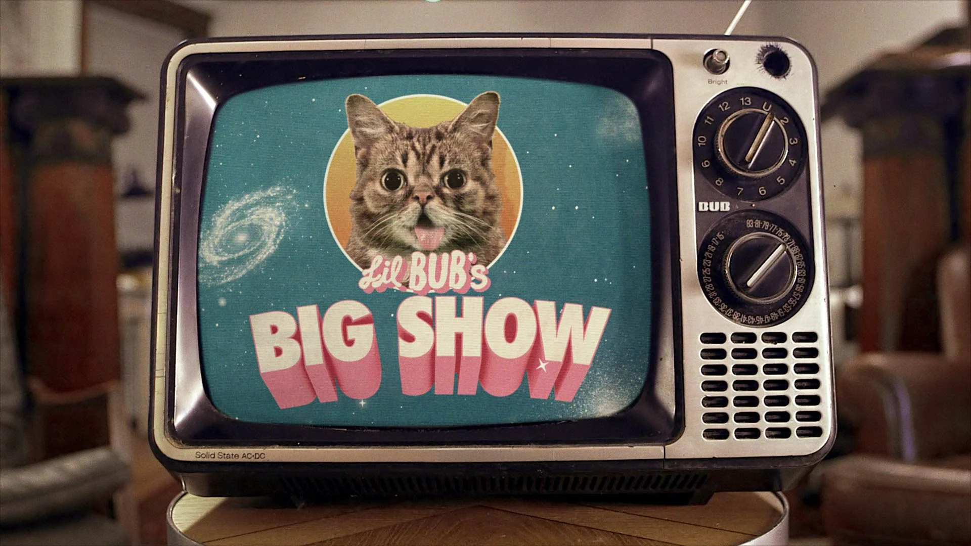 Lil Bub — Optimus Design