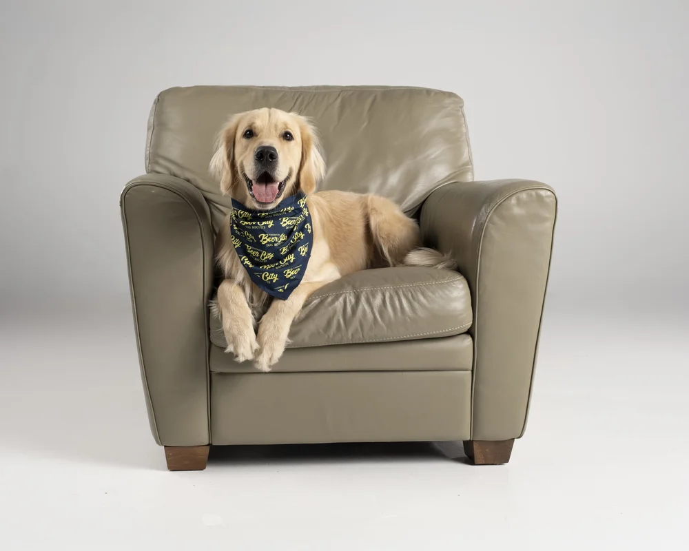 Beer City Dog Biscuits | Handmade Dog Treats with a Mission