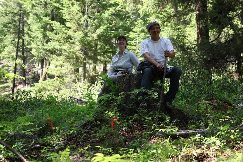 Xaxli'p Community Forest