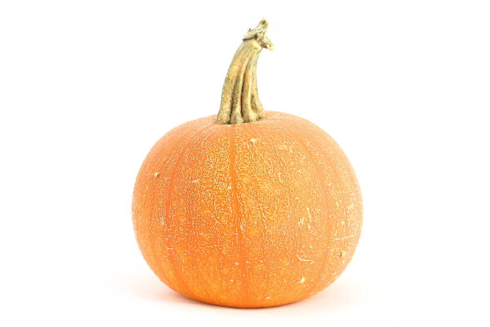 It’s Pumpkin Time — The Food Co-op
