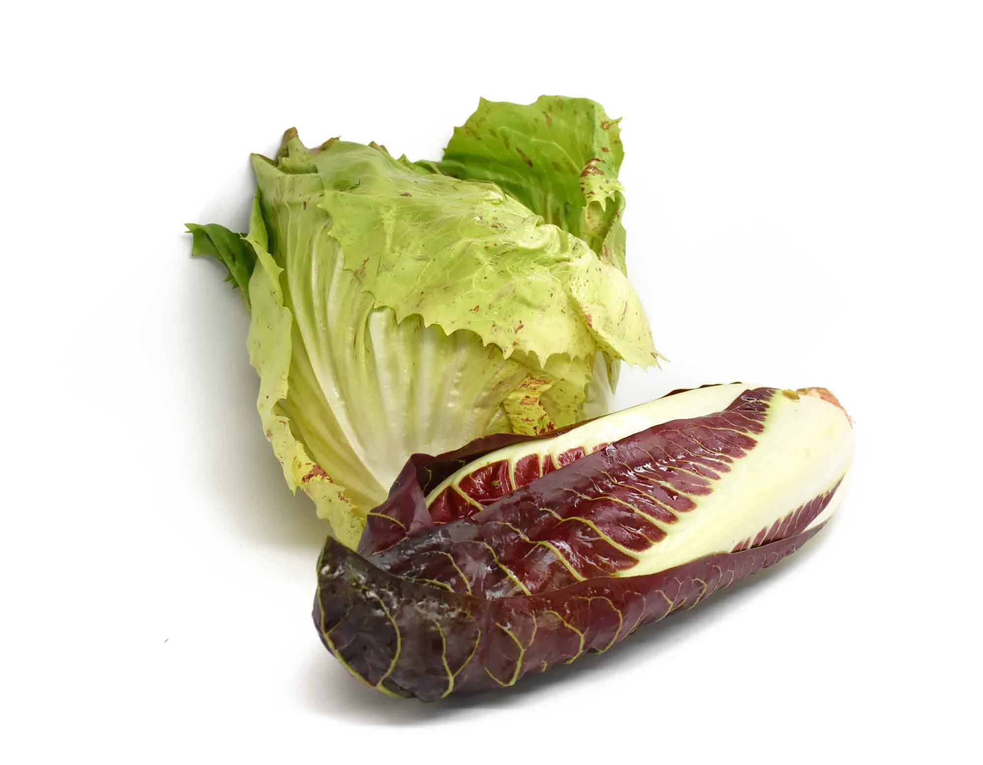 Radicchio—Beautiful But Bitter (in a good way) — The Food Co-op