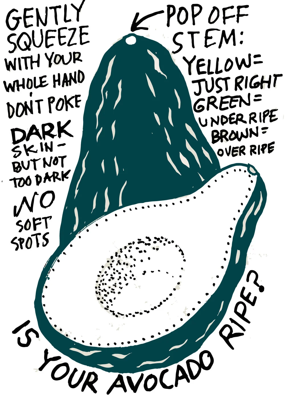 You "Guac" My World! — The Food Co-op