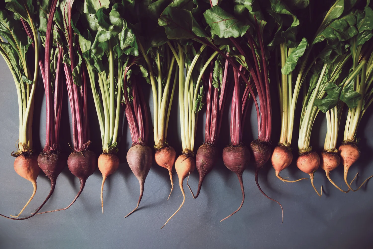 A Goddess of Roots - Ruby-Sweet, Earthy and Mysterious — The Food Co-op