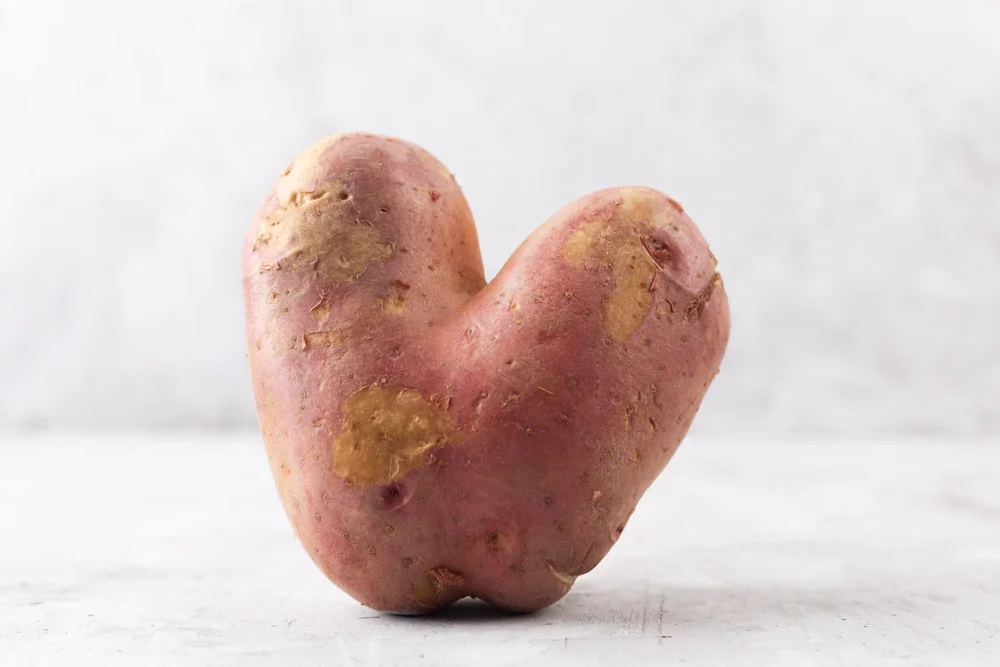 Celebrate Spuds! — The Food Co-op