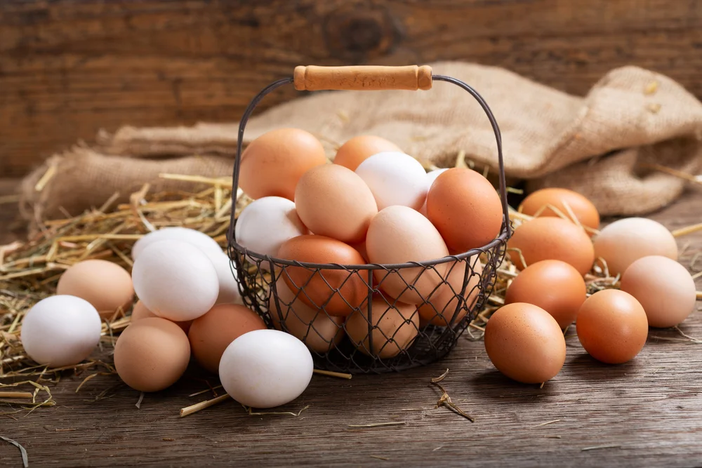 The Ordinary-Extraordinary Egg — The Food Co-op