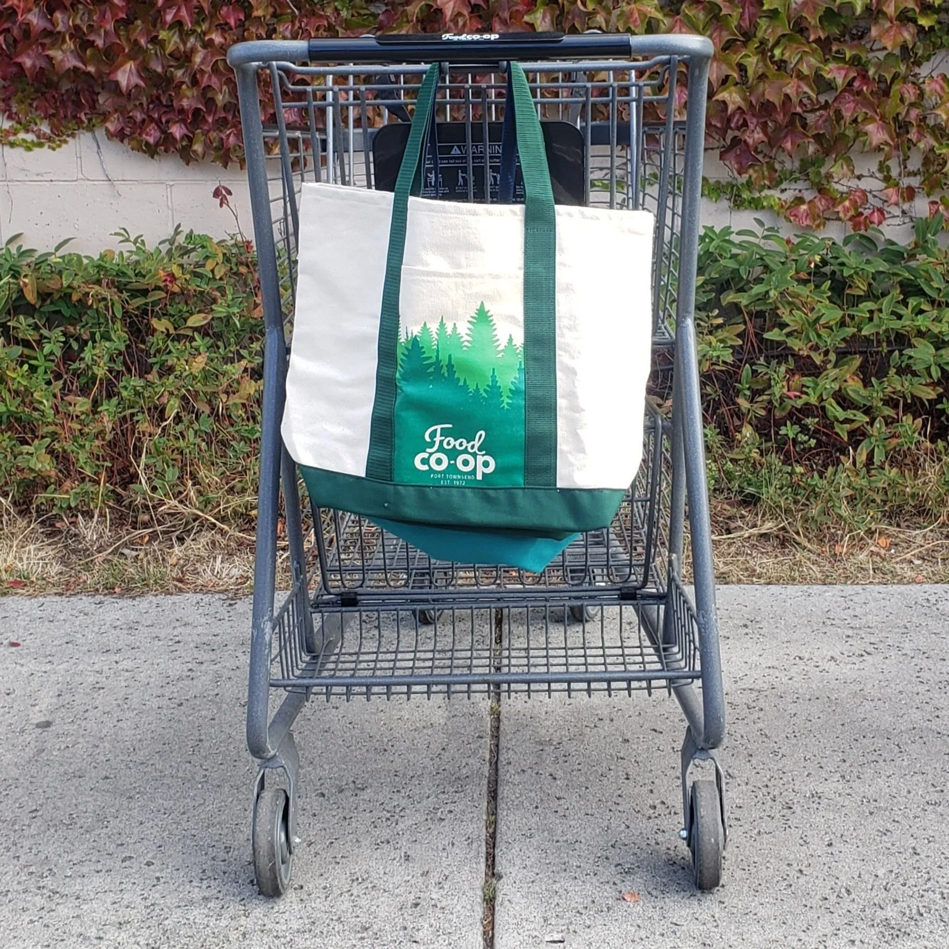 Shopping Cart In The Shopping Cart Of A Food Stamp Household: Not What
