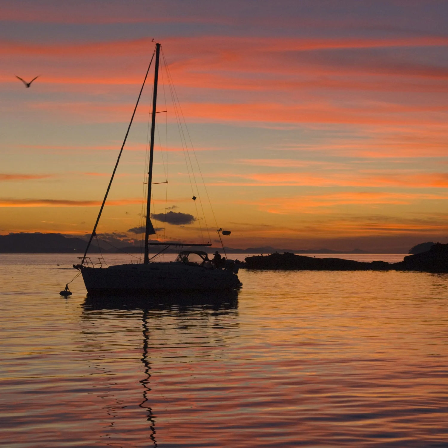 Origin Story of Scow Chow with Recipes! — The Food Co-op