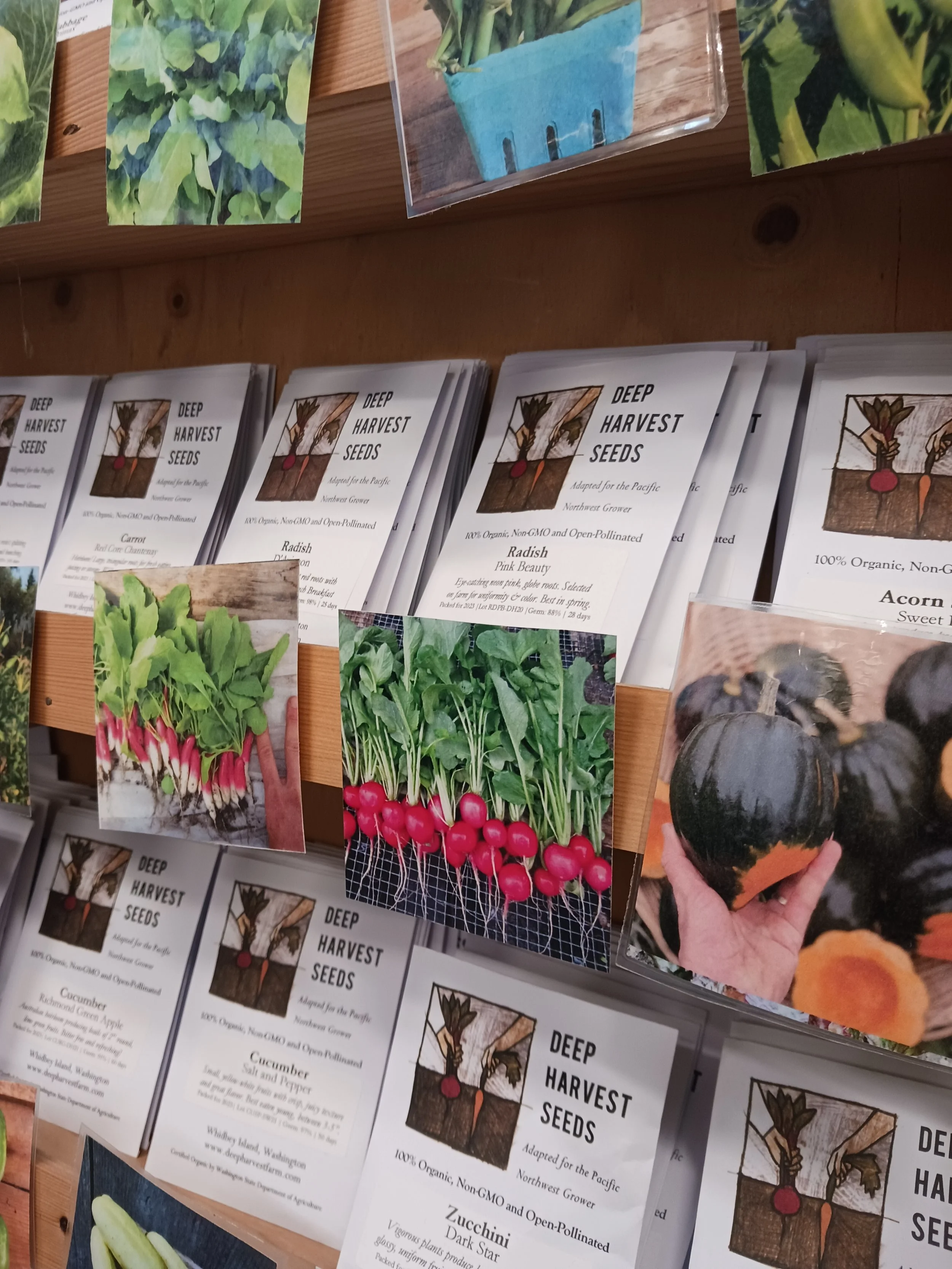 Local Seeds Are Here! — The Food Co-op