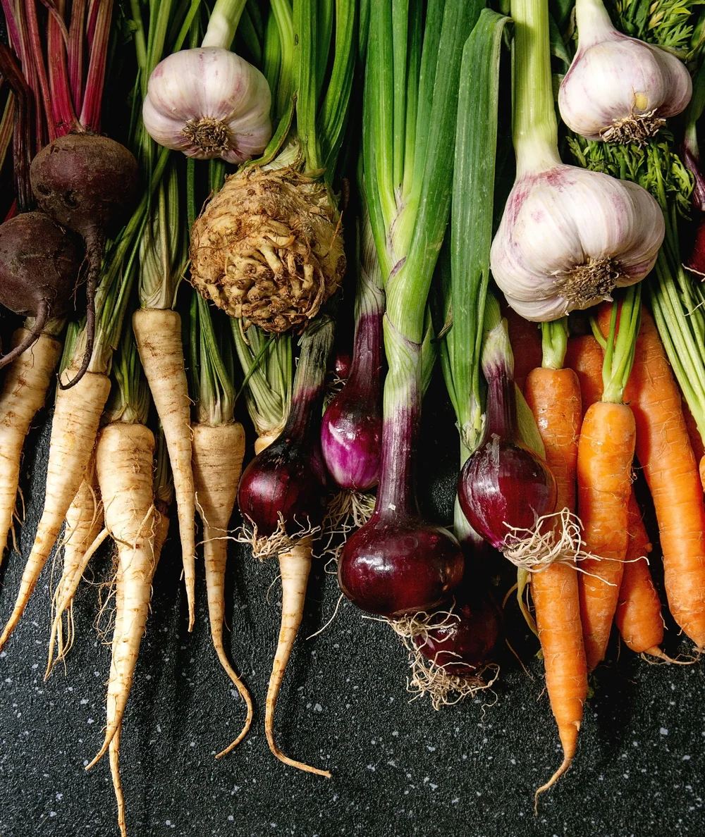 Root Vegetables: A Hardy Bunch — The Food Co-op
