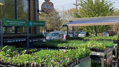 The Food Co-op