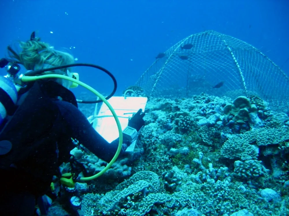 Join Us — Elizabeth Madin Lab