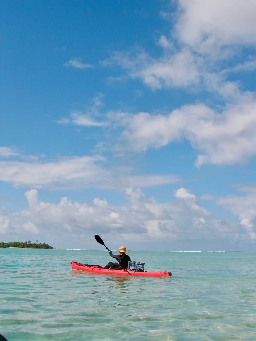 Join Us — Elizabeth Madin Lab