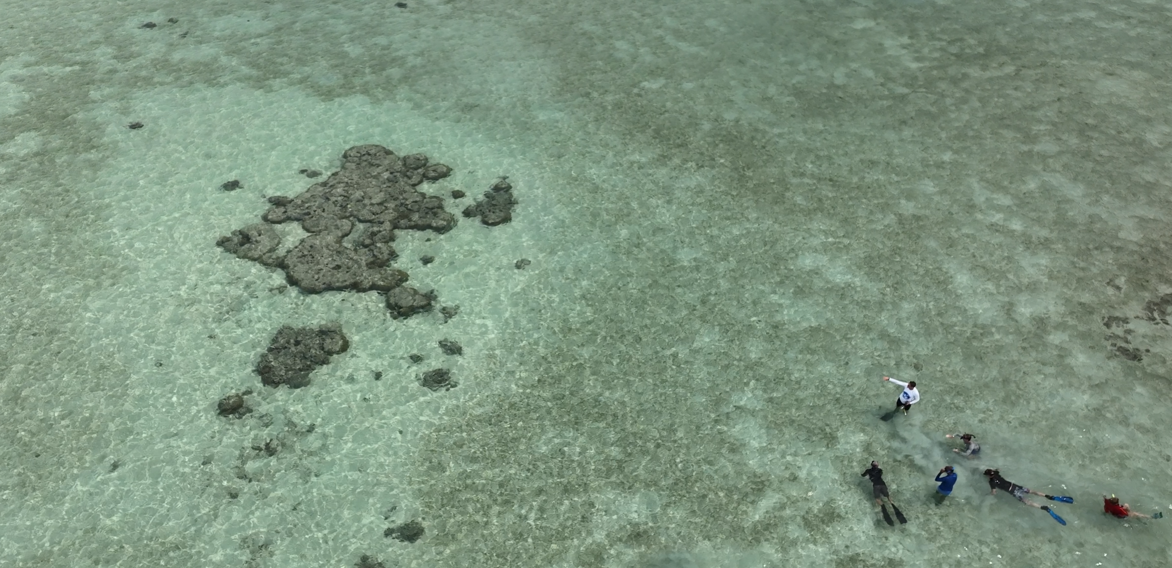 Splash Week at HIMB: Showcasing Cutting-Edge Marine Research ...
