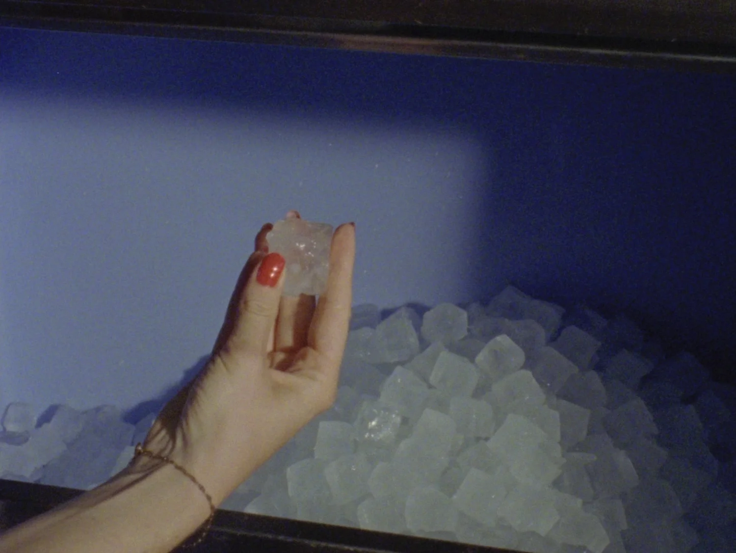 Calla Henkel & Max Pitegoff - Paradise — O-TOWN HOUSE