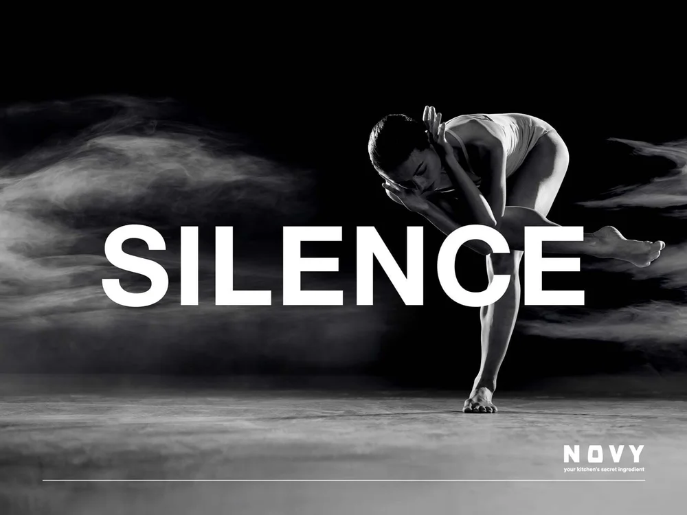 Novy — Domestic Kitchen Equipment