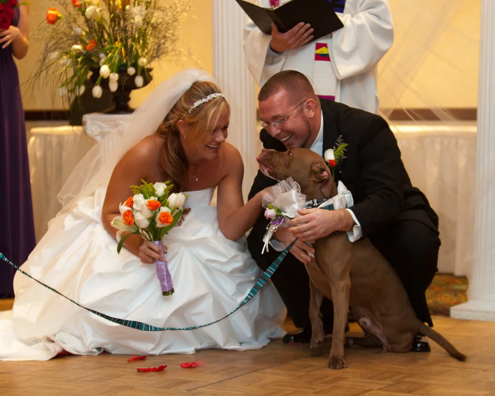 Animal Law — Barnett Law Office LLC