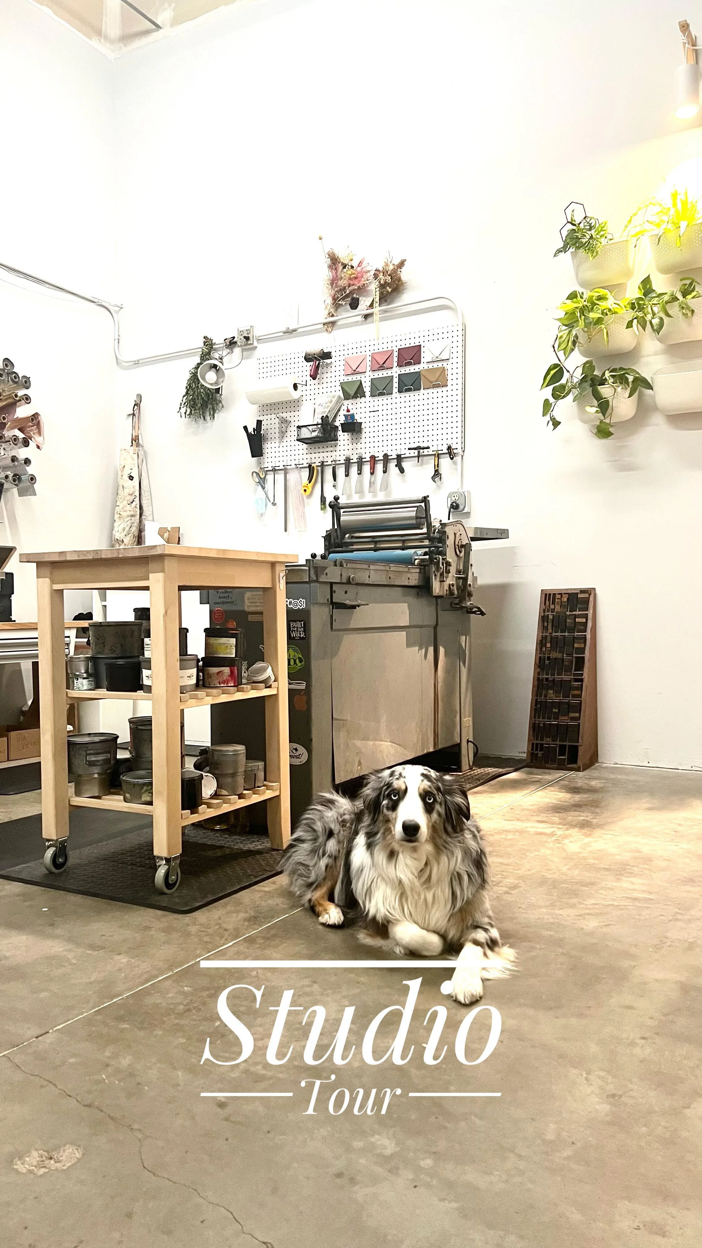 Wedding Invitation Vocabulary! — Sal Studios