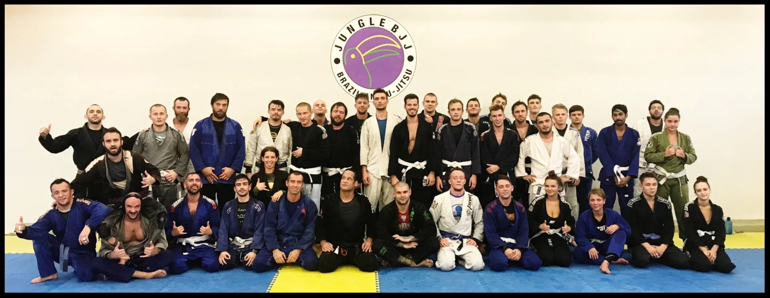Trainings — Jungle BJJ